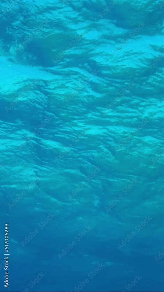 VERTICAL VIDEO: Underwater shot, surface of blue water with sun rays ...