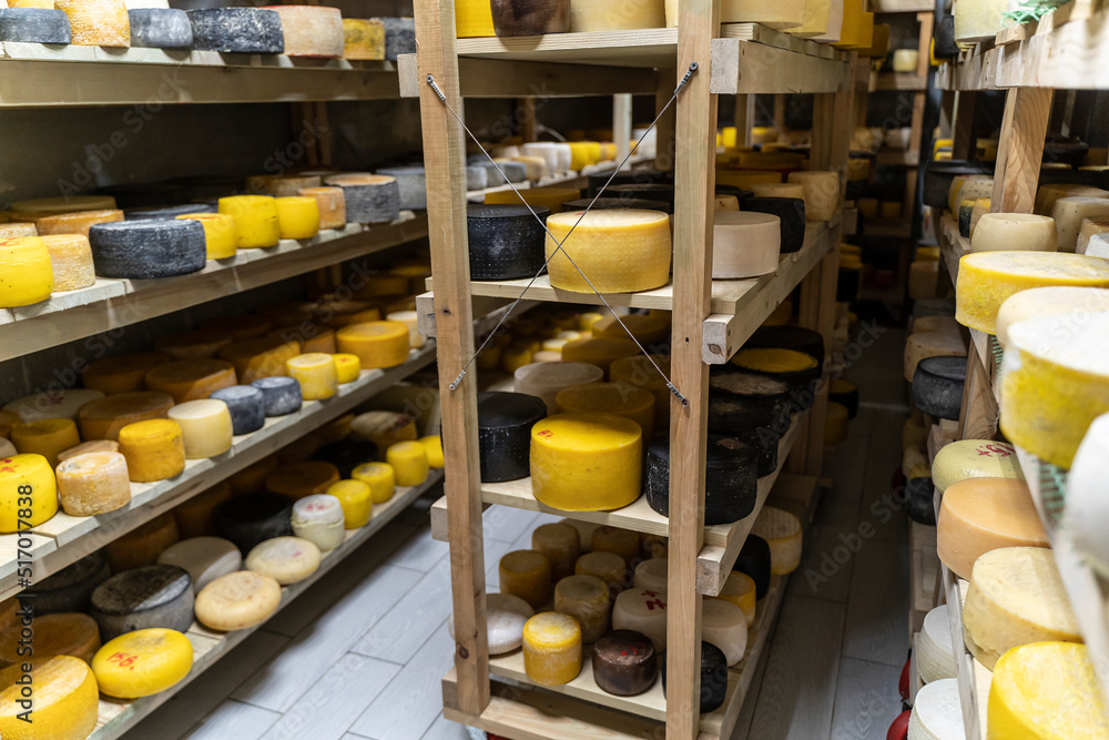 Farm cheese production. Cheese of different varieties on the shelves in ...
