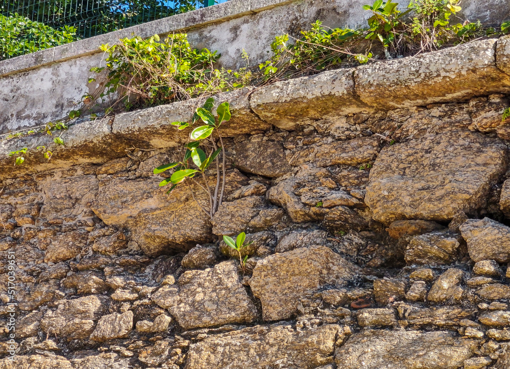 Praia Vermelha Urca Sugarloaf Mountain stone hill mountain forest ...