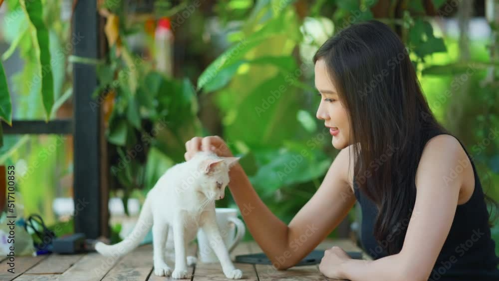 happiness cat owner asian female woman hand pet cuddle her white cat ...