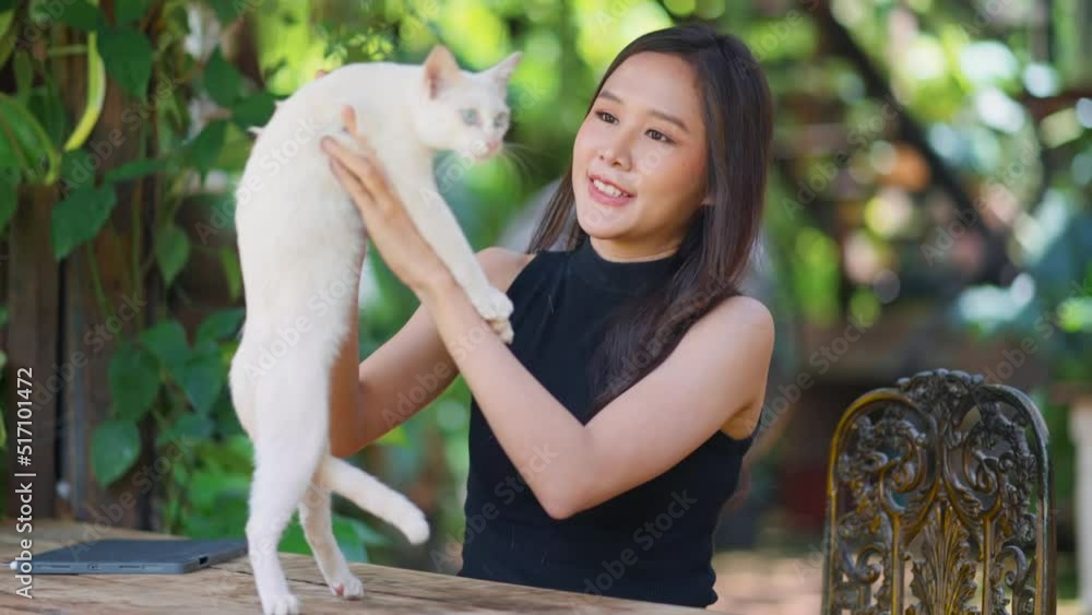 happiness cat owner asian female woman hand pet cuddle her white cat ...