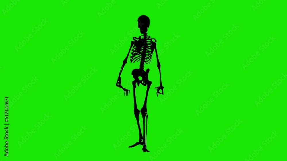 Skeleton zombie silhouette walking. Creepy skeleton with long fingers ...