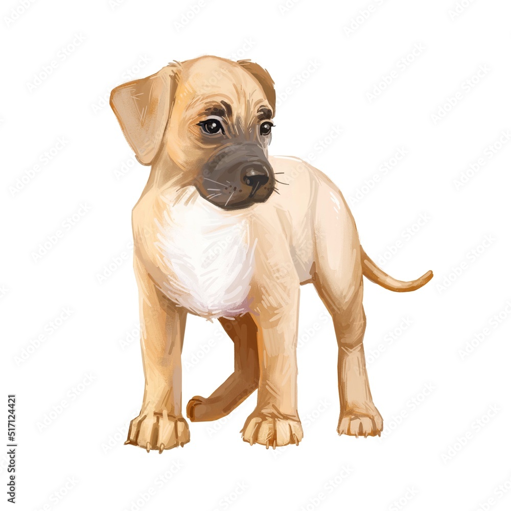 Boxador cross breed between labrador boxer dog watercolor digital art ...