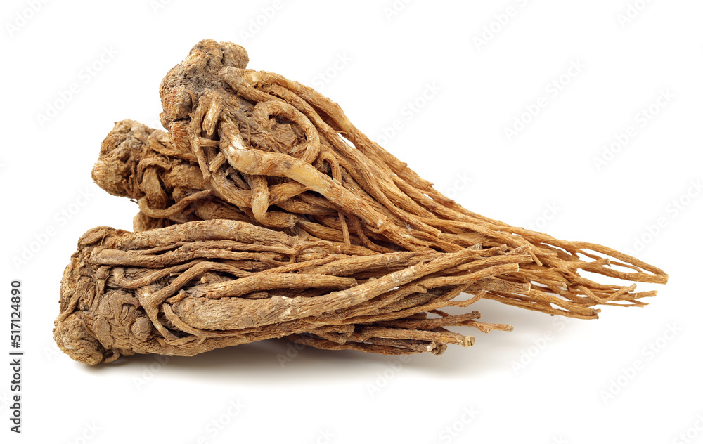 Angelica root used in chinese traditional herbal medicine, over white ...