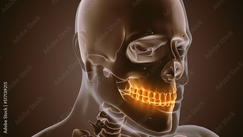 Medical animation with teeth pain Stock Illustration | Adobe Stock