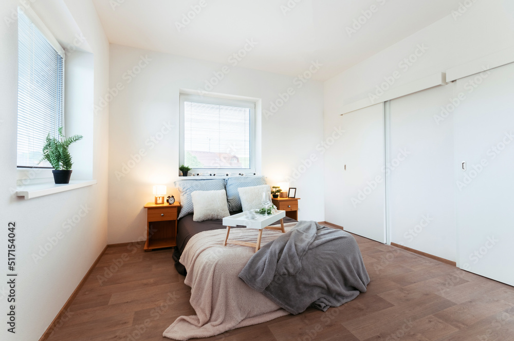 Simple bedroom in apartment with walk-in closet and small bathroom ...