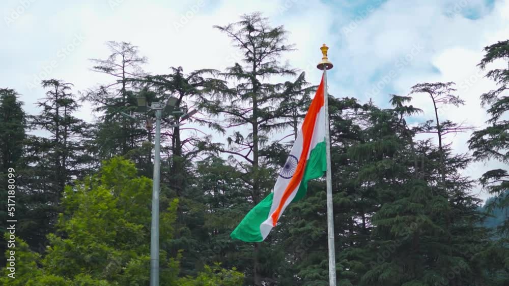 Tricolor Indian Flag Fluttering in background of pine trees and cloudy ...