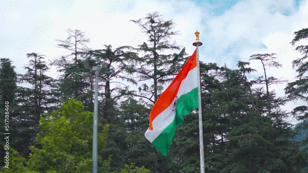 Tricolor Indian Flag Fluttering in background of pine trees and cloudy ...