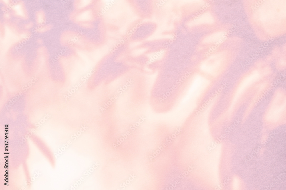 Leaf shadow and tree branch on wall. Nature leaves pastel pink shadow ...