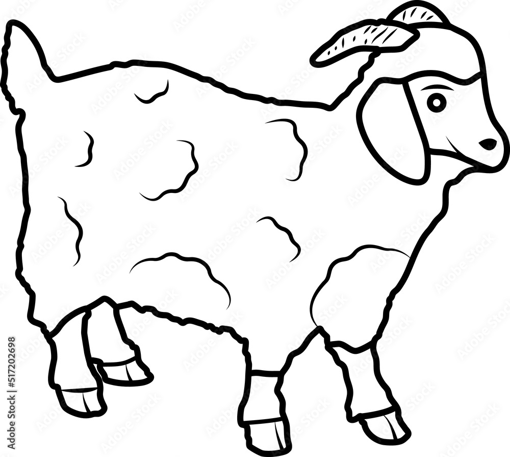 Angora Goat, farm animal. Vector illustration for eid ul adha. Stock ...