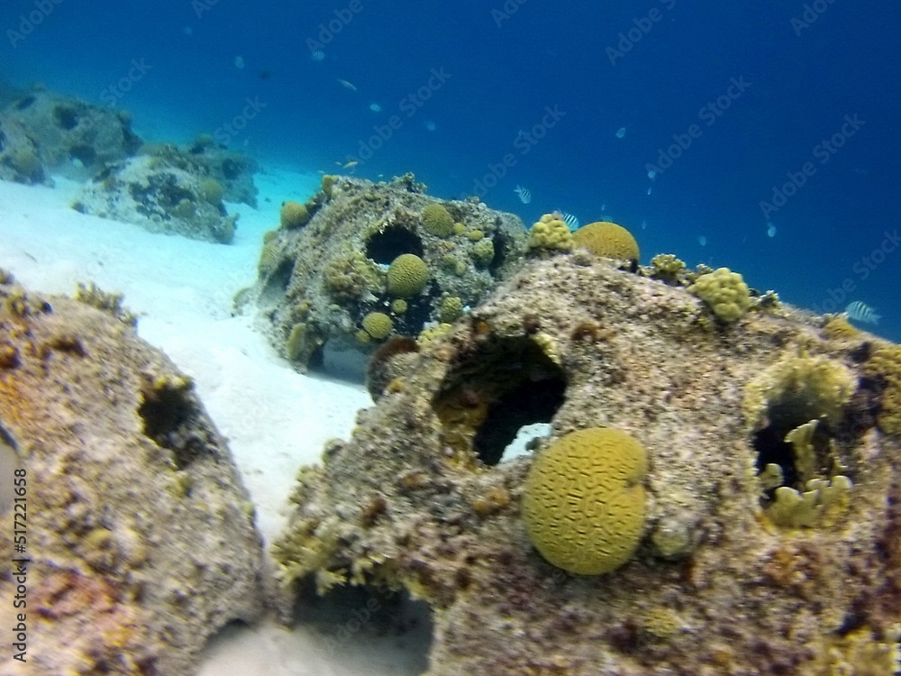 Reef balls making an artifical reef in shallow water off the coast of ...