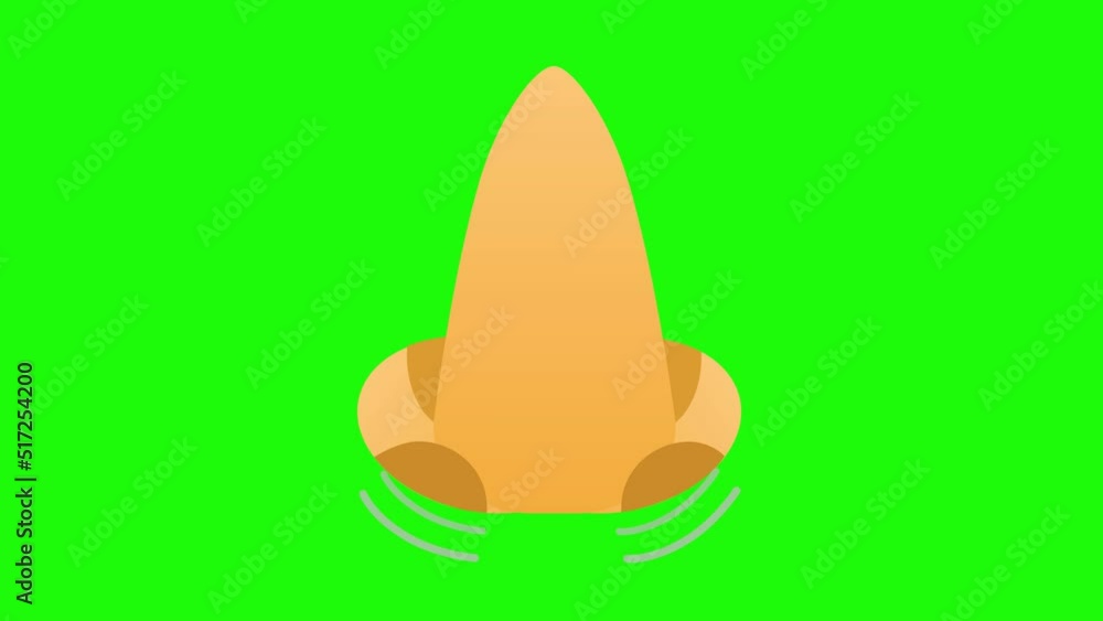 Vidéo Stock Anatomical Nose icon animation on green background ...