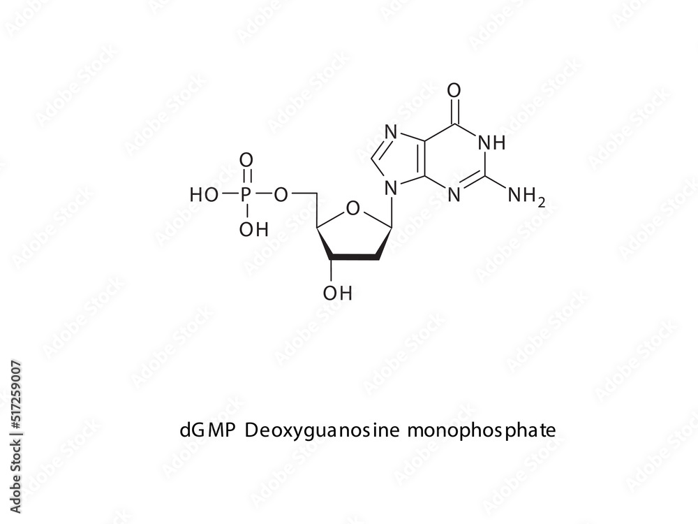 dGMP Deoxyguanosine monophosphate Nucleotide molecular structure on ...