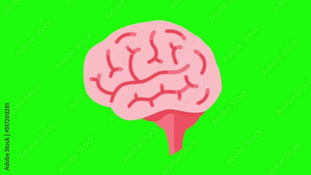 Anatomical Brain icon animation on green background. Animated ...