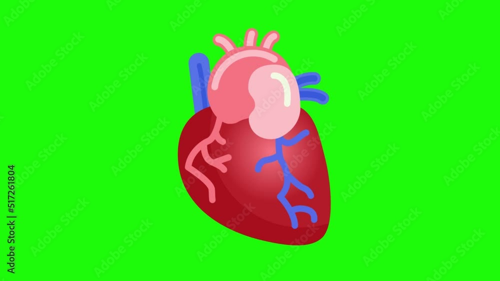 Anatomical heart icon animation on green background. Animated ...