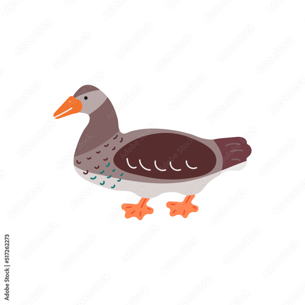 cartoon colorful duck isolated on white background Stock Vector | Adobe ...