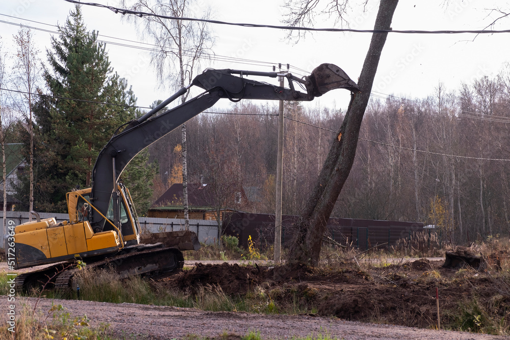 felling of trees and logs to the ground using a tractor loader with a ...