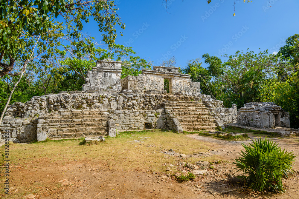 Mayan ruins in shadow of trees in jungle tropical forest Playa del ...