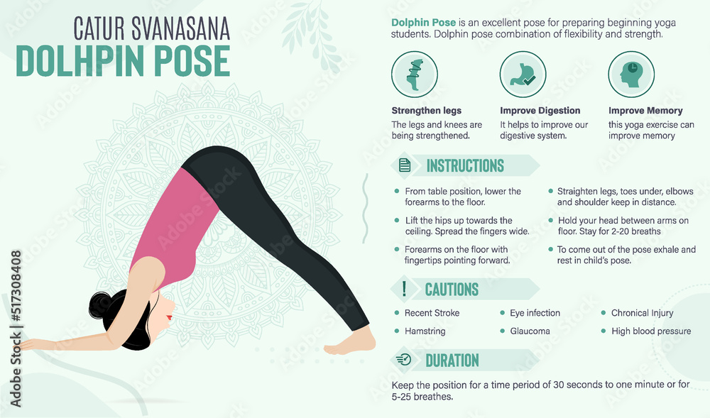 Dolphin Pose Guide and benefits: Yoga poses vector illustration Stock ...