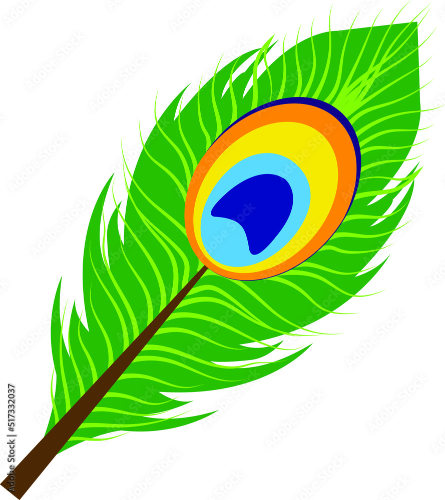 Peacock feather vector illustration. peacock image or clip art. Stock ...