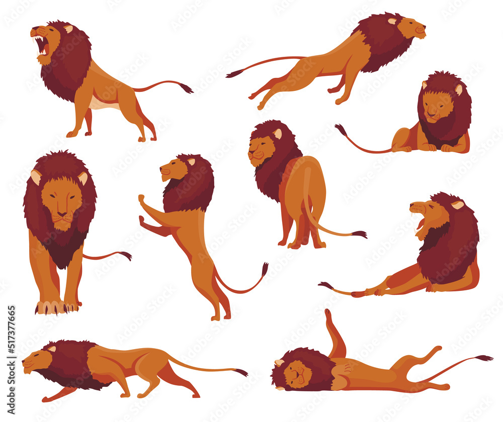 Proud powerful lion character in different actions set. King of animal ...