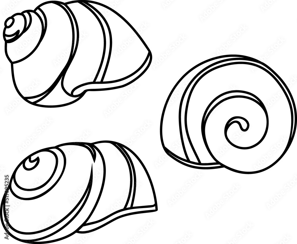 Coloring page with shell of White-lipped snail (Cepaea hortensis) Stock ...