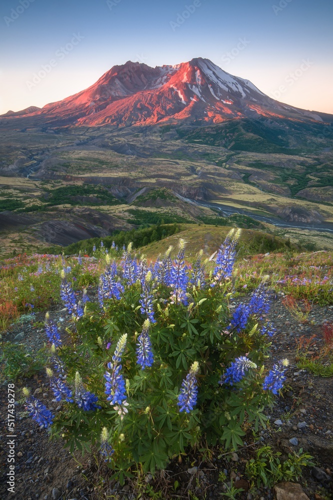The breathtaking views of the volcano and amazing valley of flowers ...