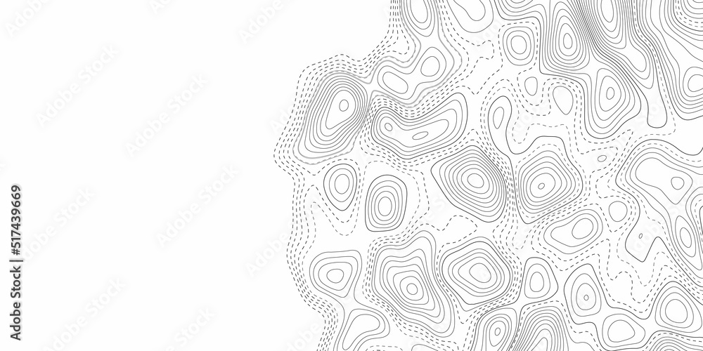 Topographic map background. Grid map. Vector illustration .Creative ...