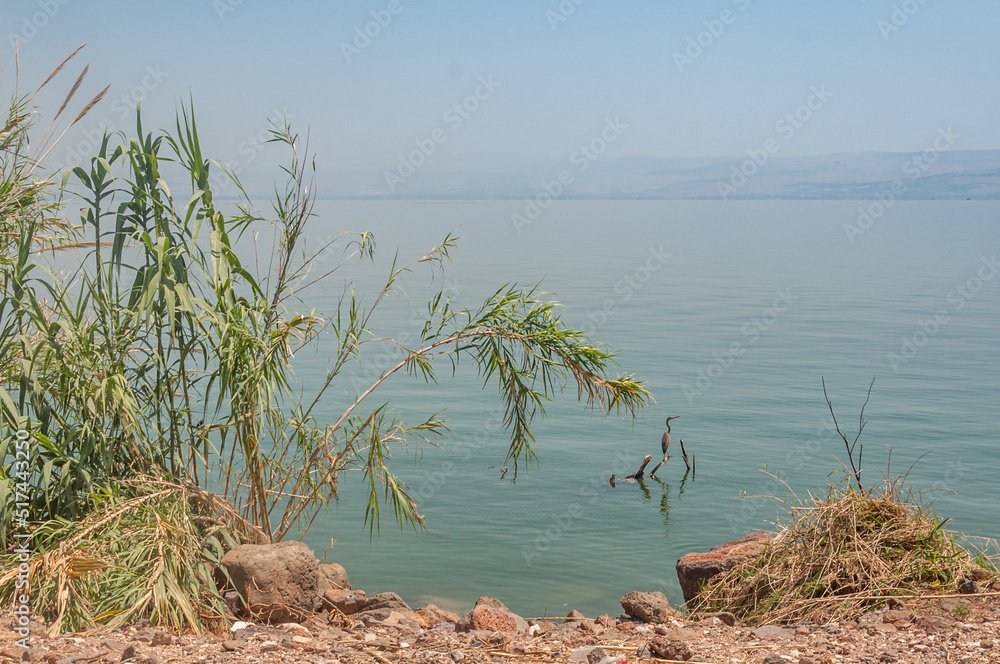 Lac de Tibériade, mer de Galilée, en Israël Stock Photo | Adobe Stock