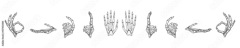 Set of hand drawn skeleton hands in different positions. Vector phalanx ...