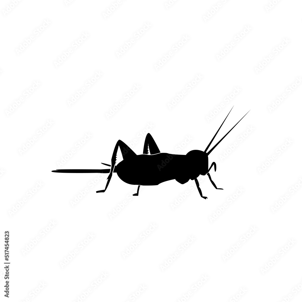cricket insect logo vector template Stock Vector | Adobe Stock