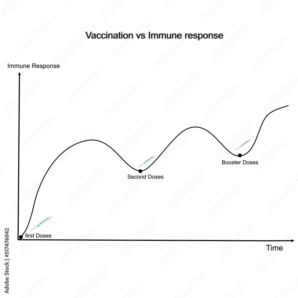 The correlation graph between immune response and the doses number of ...