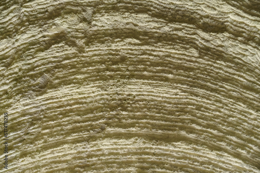 the surface of the wall of natural shell rock in the mine for the ...