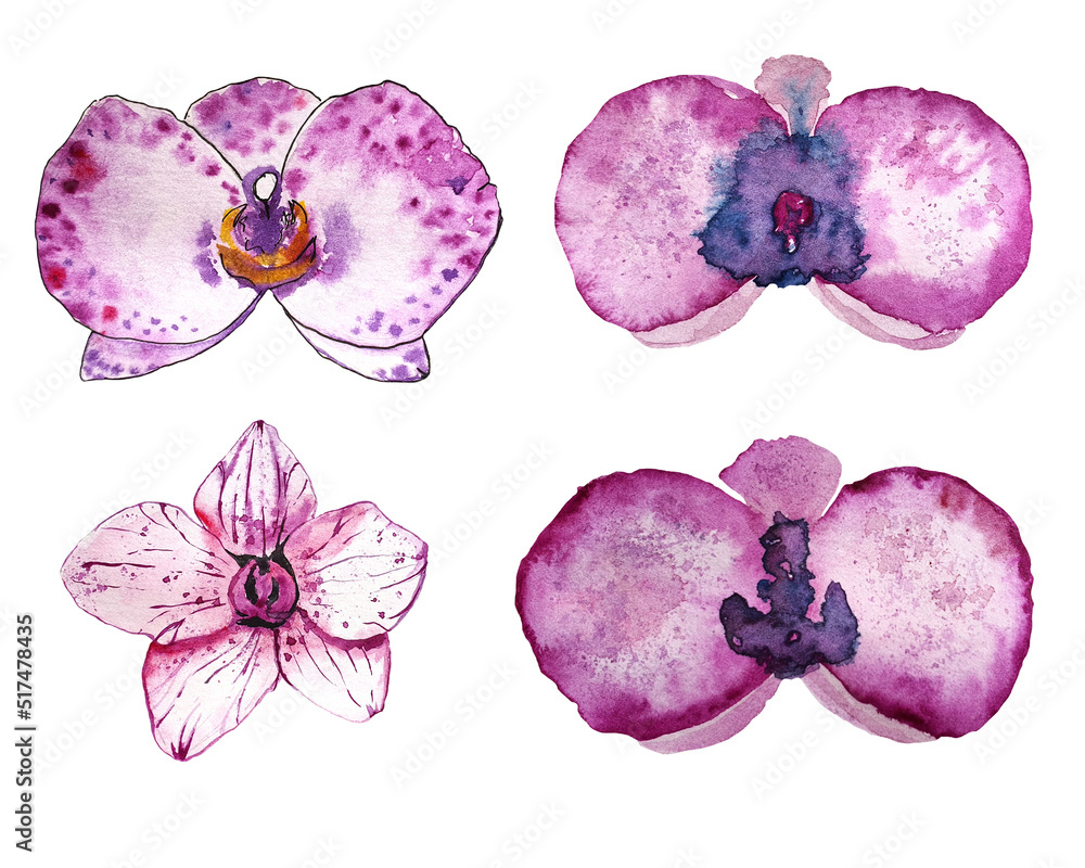 Violet orchid on isolated white background, watercolor botanical ...