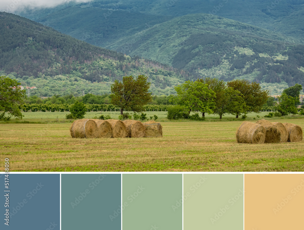 Color palette swatches of beautiful landscape of brown beige hay roll ...