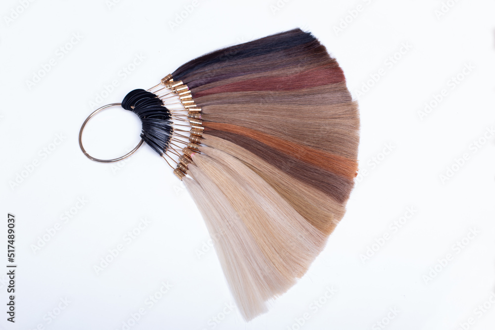 Hair base color palette, samples chart from brunette to blonde on white ...