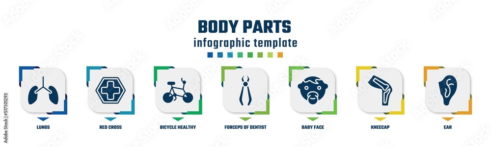 body parts concept infographic design template. included lungs, red ...