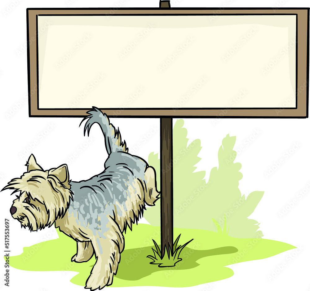 Yorkshire terrier The dog is peeing, on a pole, a blank board for ...