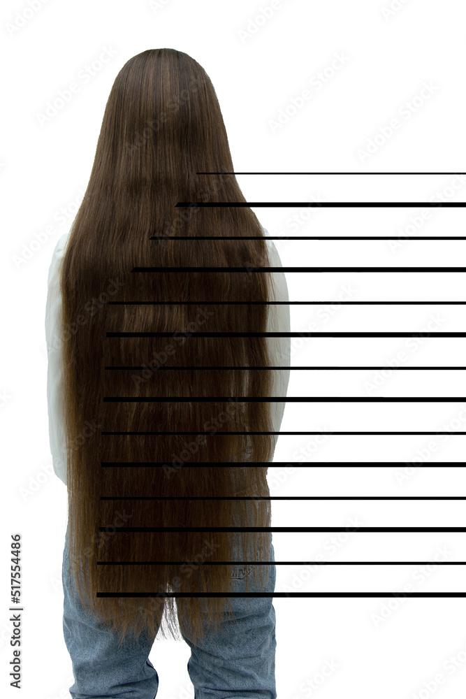 dimensional grid for measuring hair, isolated on white background for a ...