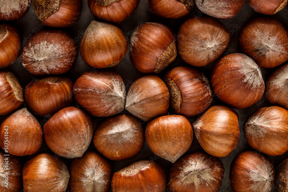 Macro photo Hazelnut nuts. Photo nature food Hazelnut nuts in shell ...