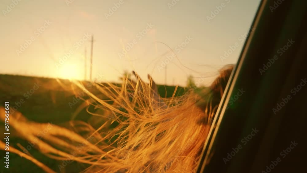 Free woman driver rides car catches wind with her hand from car window ...