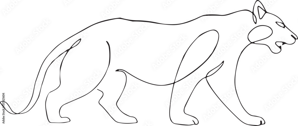 sketch of a lion, vector illustration, one line art drawing a tiger ...