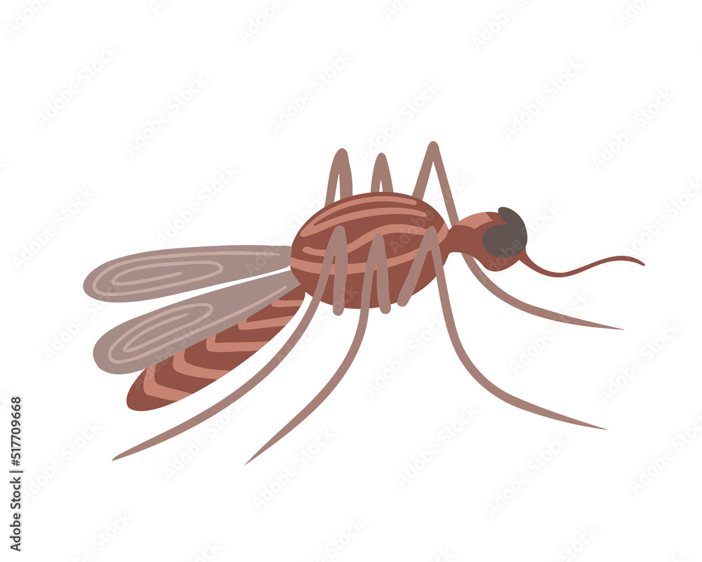 Insect mosquito. Vector Illustration for printing, backgrounds, covers ...