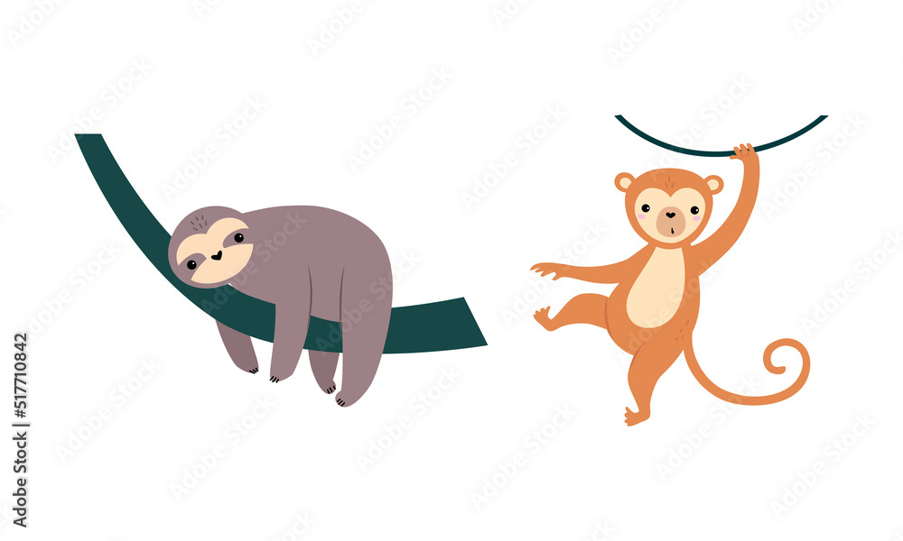 Cute wild safari African animals set. Sloth and monkey jungle animal ...