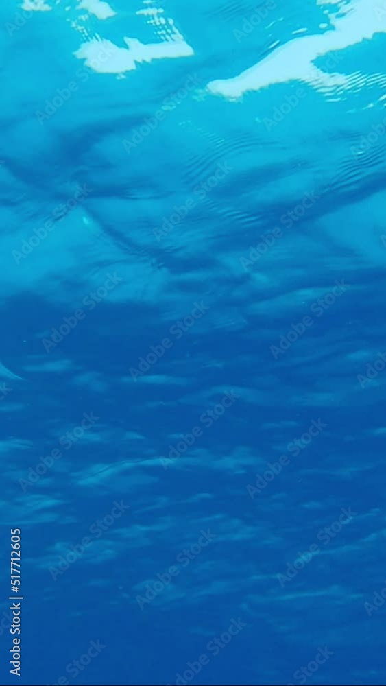 Video Stock VERTICAL VIDEO: Underwater shot, wawes on surface of blue ...