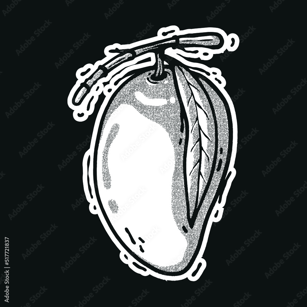 fresh mango sketch. hand draw technique. black and white background ...