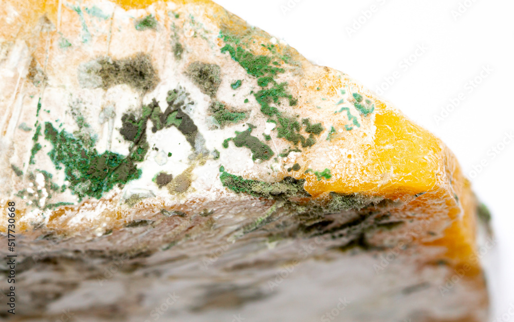 Mold on cheese, close-up on a white background. Mold on food. Fluffy ...