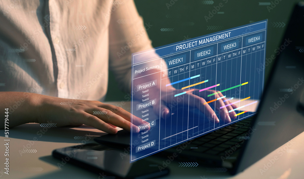 Business Project Management System. Project manager working on laptop ...