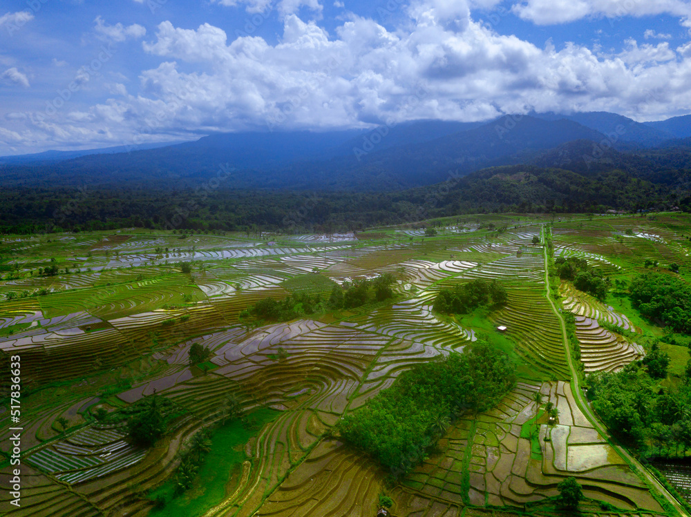 Aerial photo of natural panorama of Indonesia, vast rice fields with ...