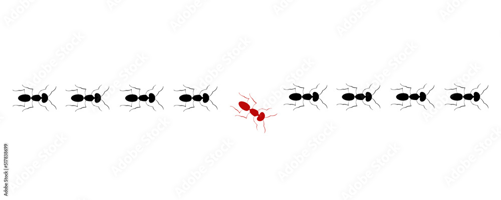 Ants marching or walking and one changing direction. Think differently ...